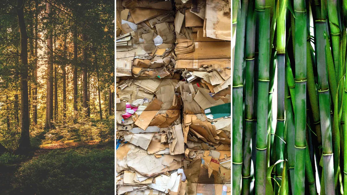 Bamboo Tissue vs Regular Tissue: Sustainable Choice